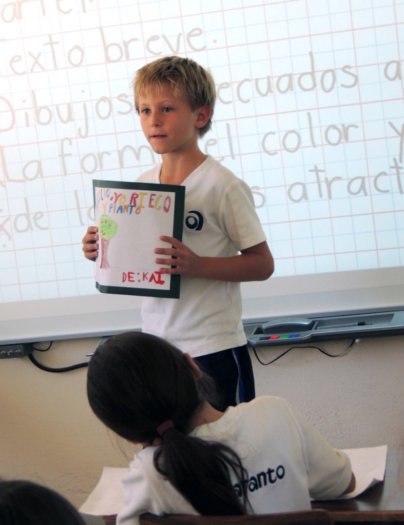 Programas Educativos